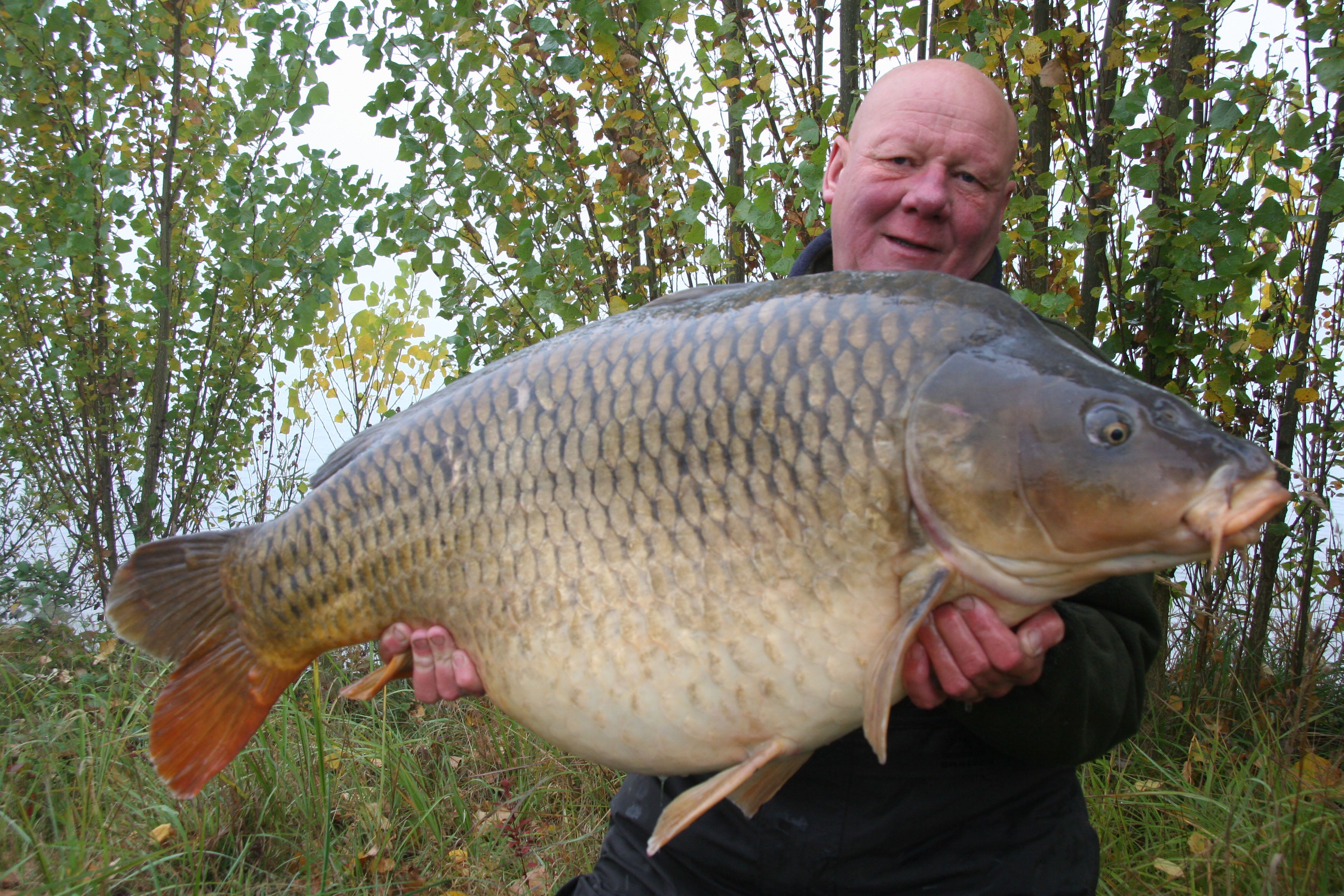 HOW MUCH BAIT TO USE? – Dennis McFetrich